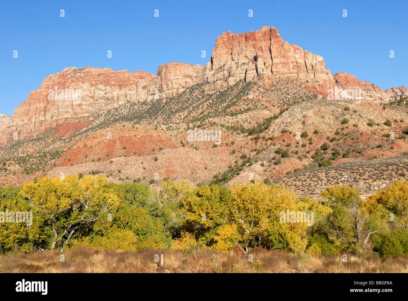 South entrance to zion hi-res stock photography and images - Alamy