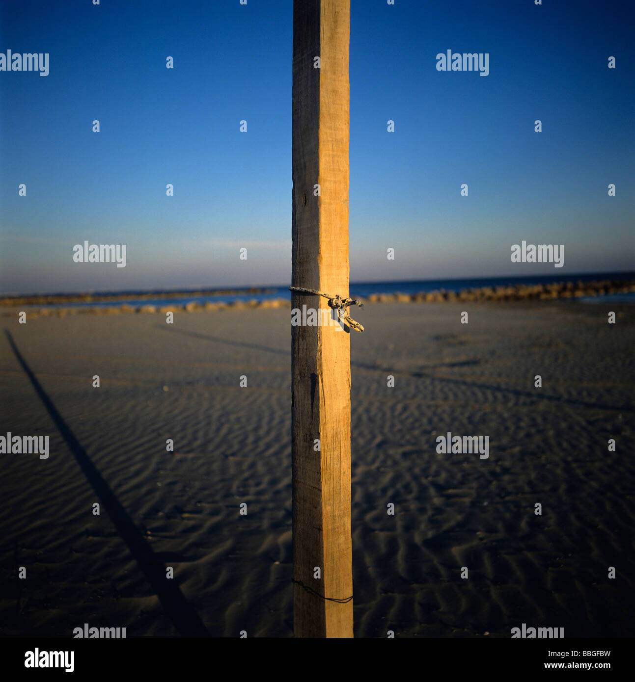 Sunrise illuminates a wooden post on the beach shoreline with ocean in ...
