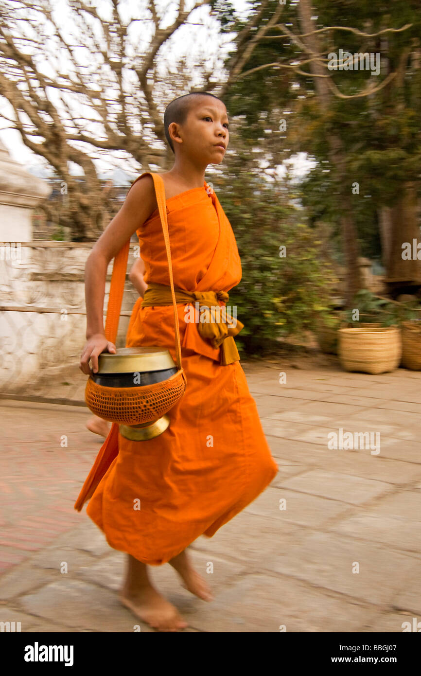Bhikkhu neophyte in traditional robe hi-res stock photography and ...