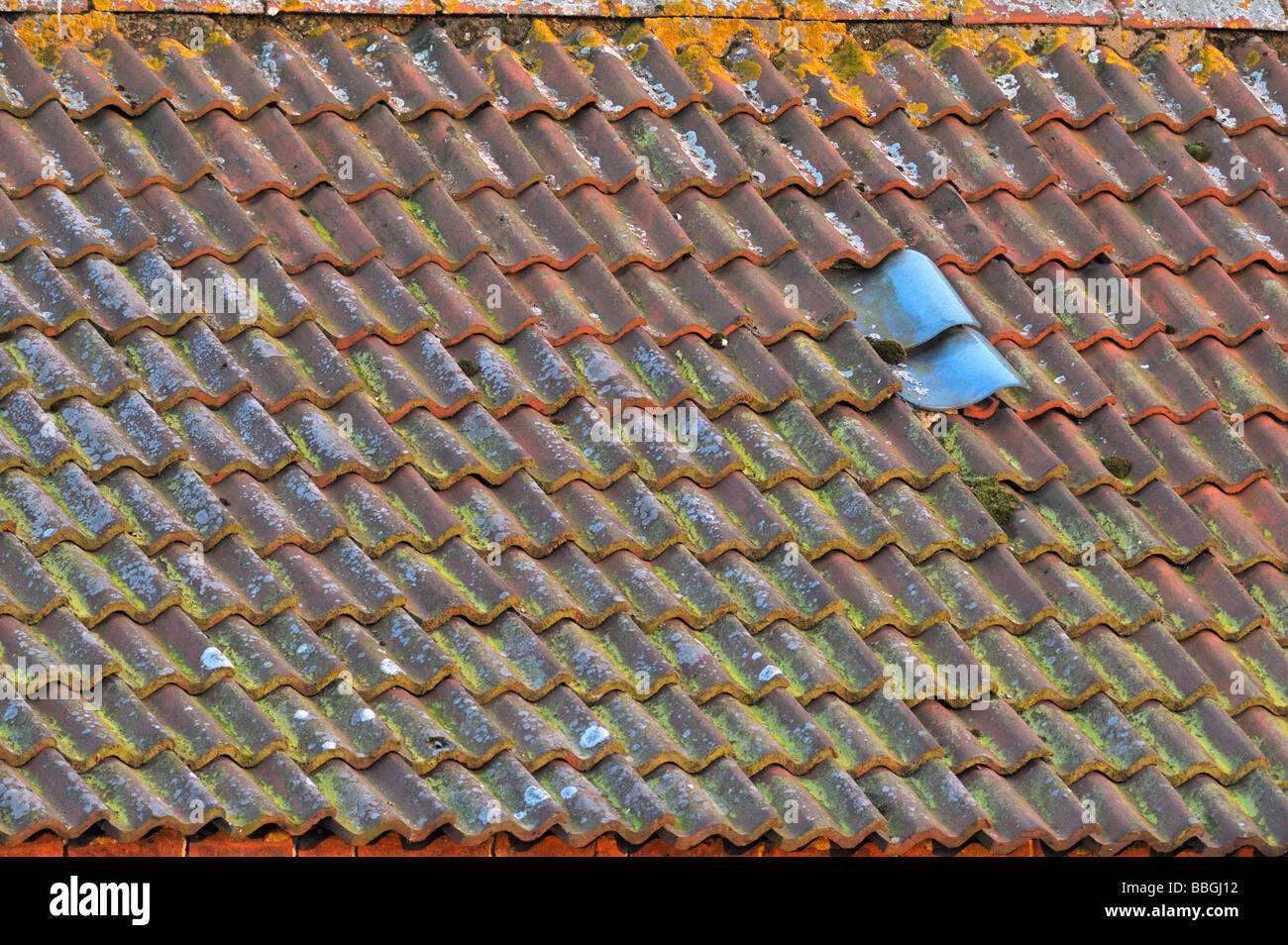 Pan tiles pantiles hi-res stock photography and images - Alamy