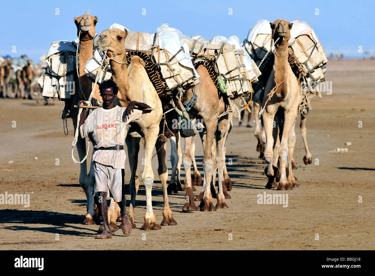 Camel caravans hi-res stock photography and images - Alamy