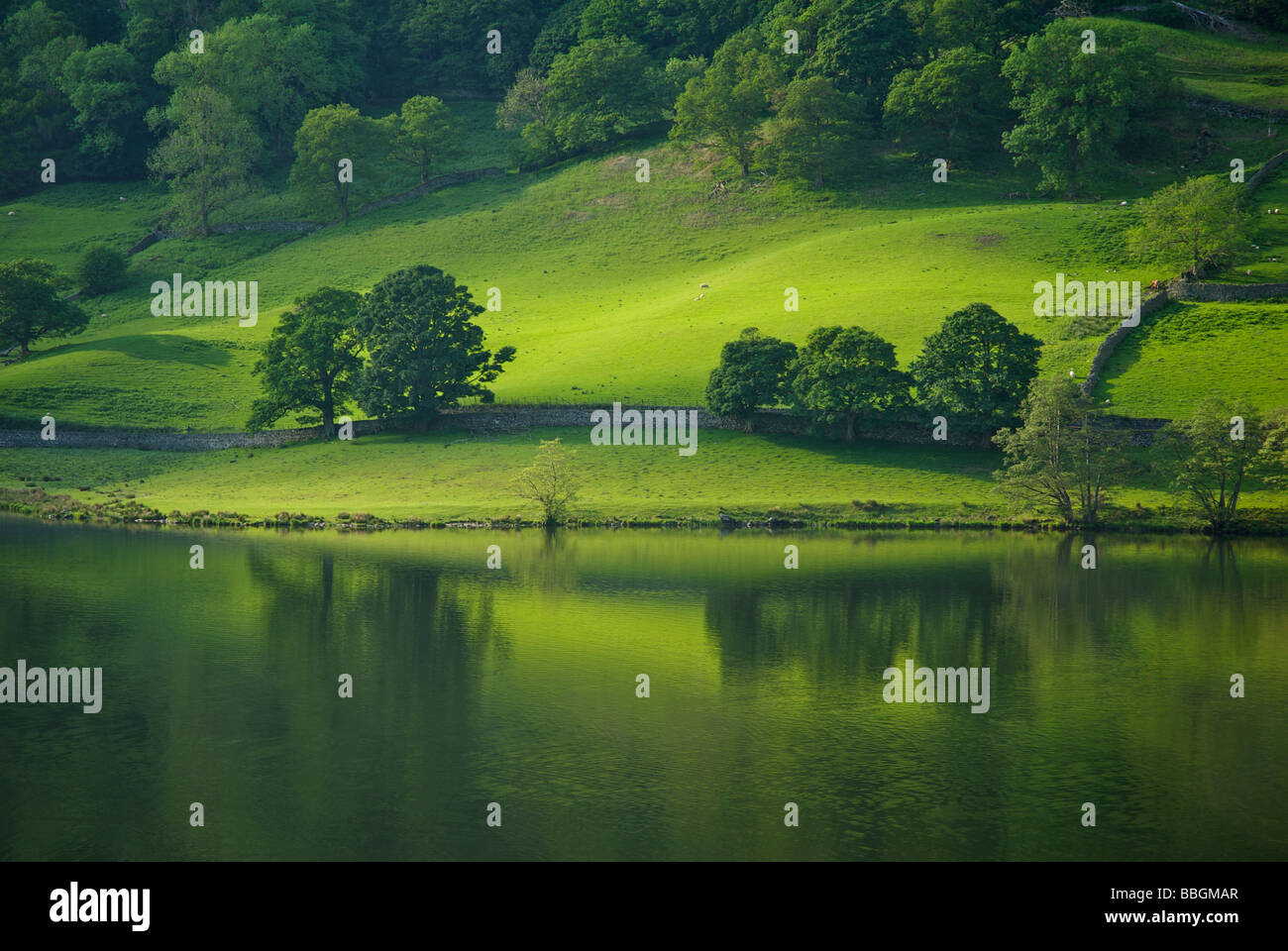 Rydal Water, Lake District National Park, Cumbria, England UK Stock ...