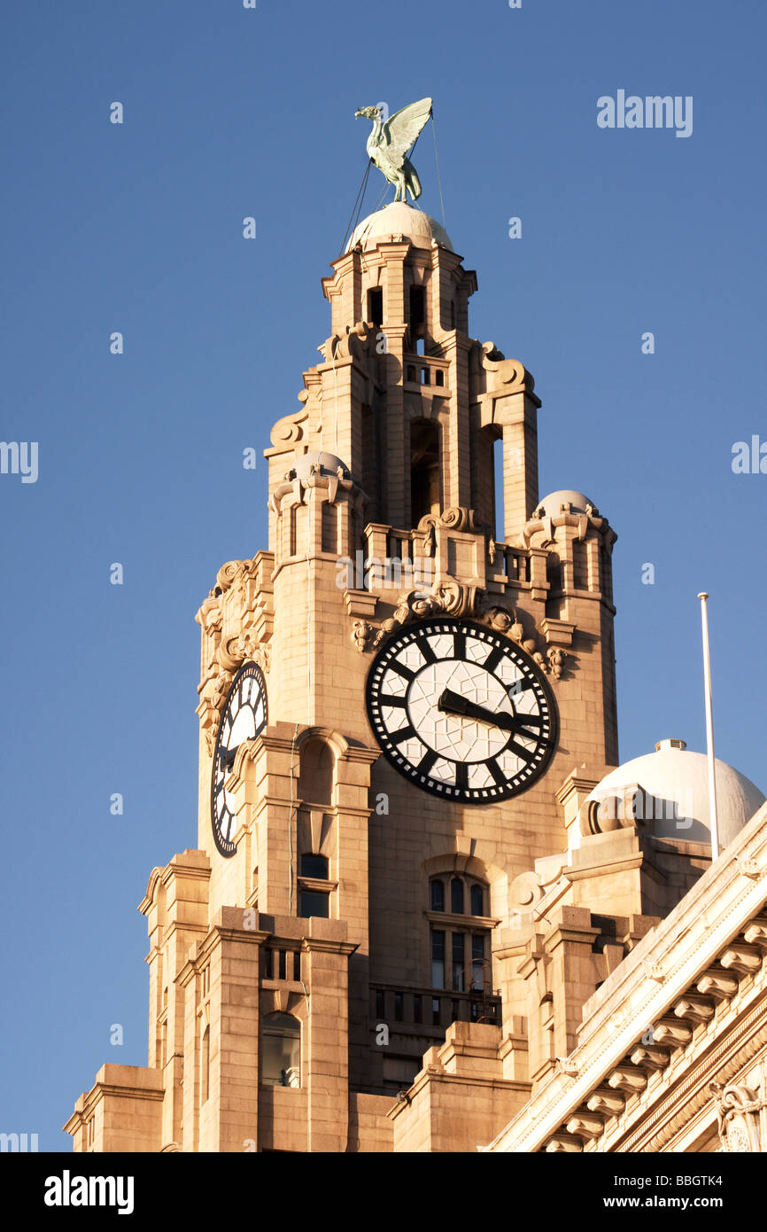 Liverpool;The Liver Bird looking out to sea on top of the Liver ...