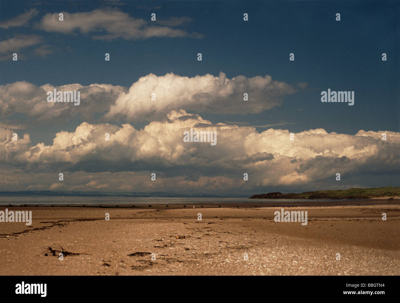 Scotland;Lothian Region;Aberlady Bay Nature Reserve; The Firth of Forth ...