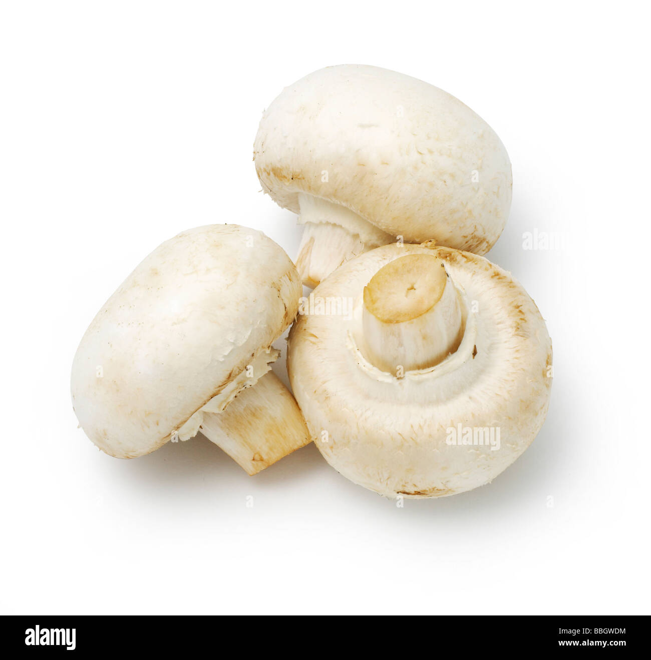 Button mushrooms hi-res stock photography and images - Alamy