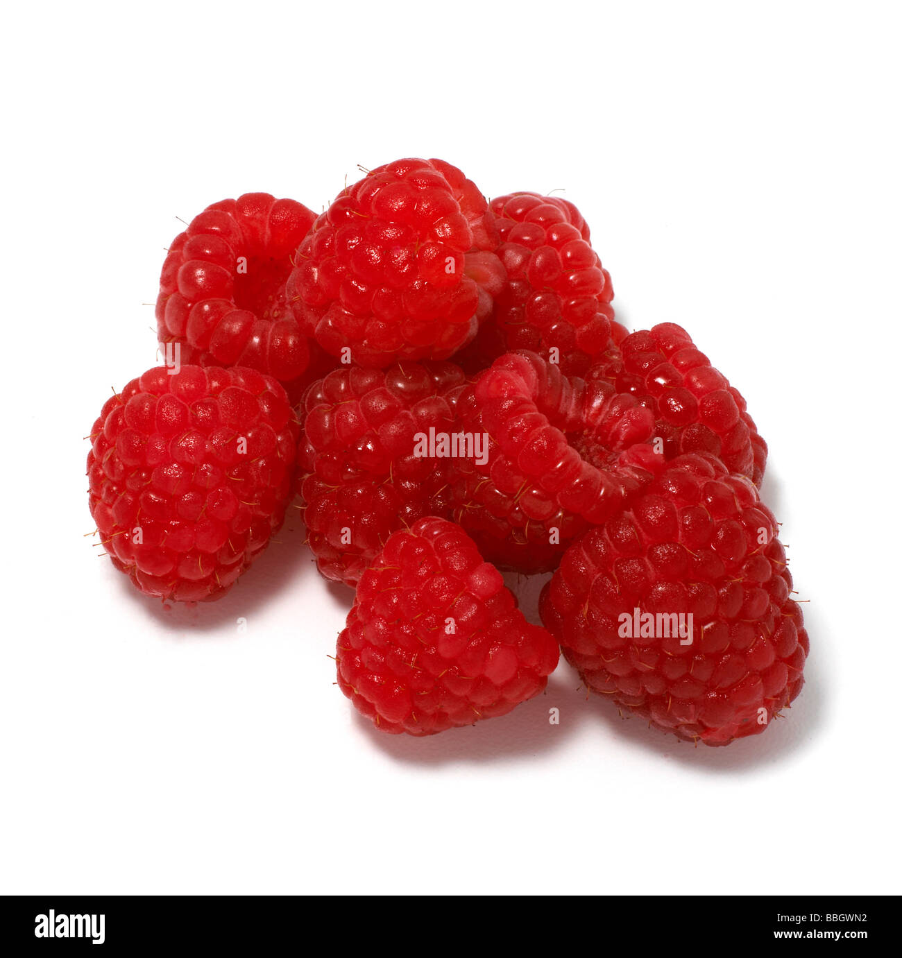 Raspberry picking Cut Out Stock Images & Pictures - Alamy