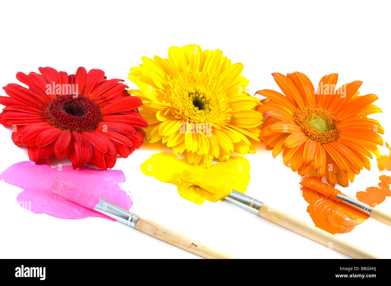 Flowers brushes and paints Isolation Stock Photo - Alamy