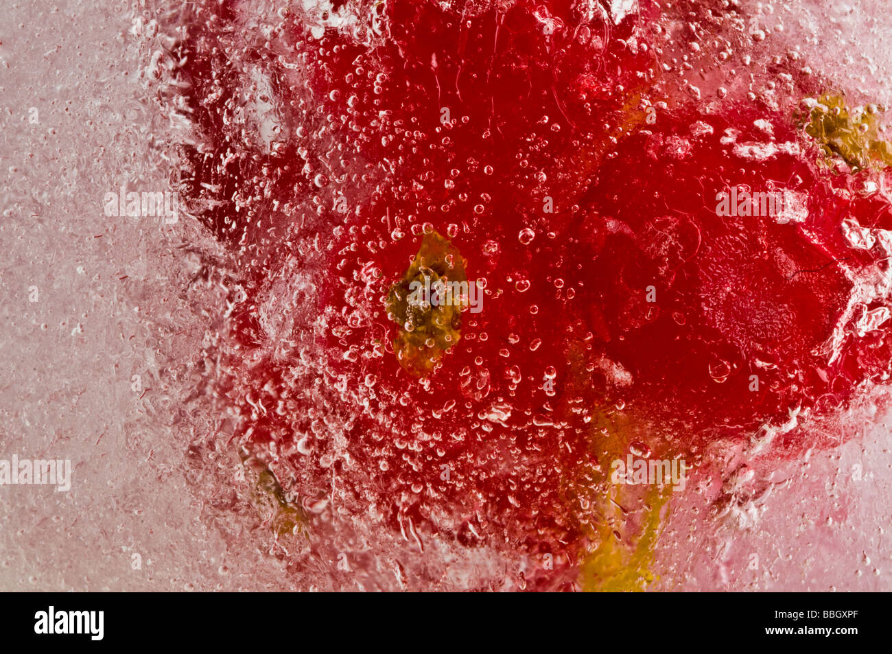 fresh frozen fruit in ice Stock Photo - Alamy