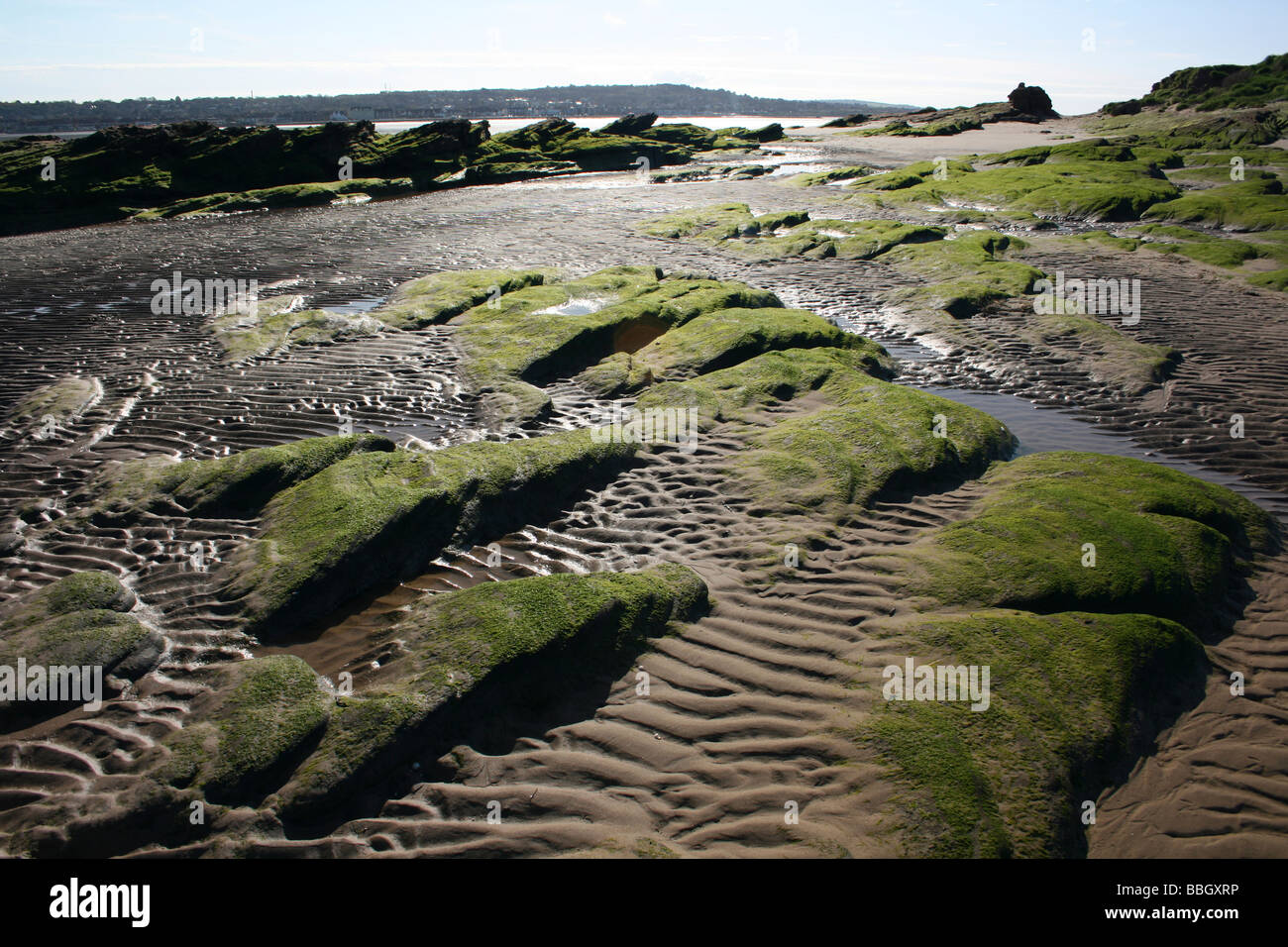Sand Ripples And Bunter Sandstone On the Beach At Little Eye, Hilbre ...