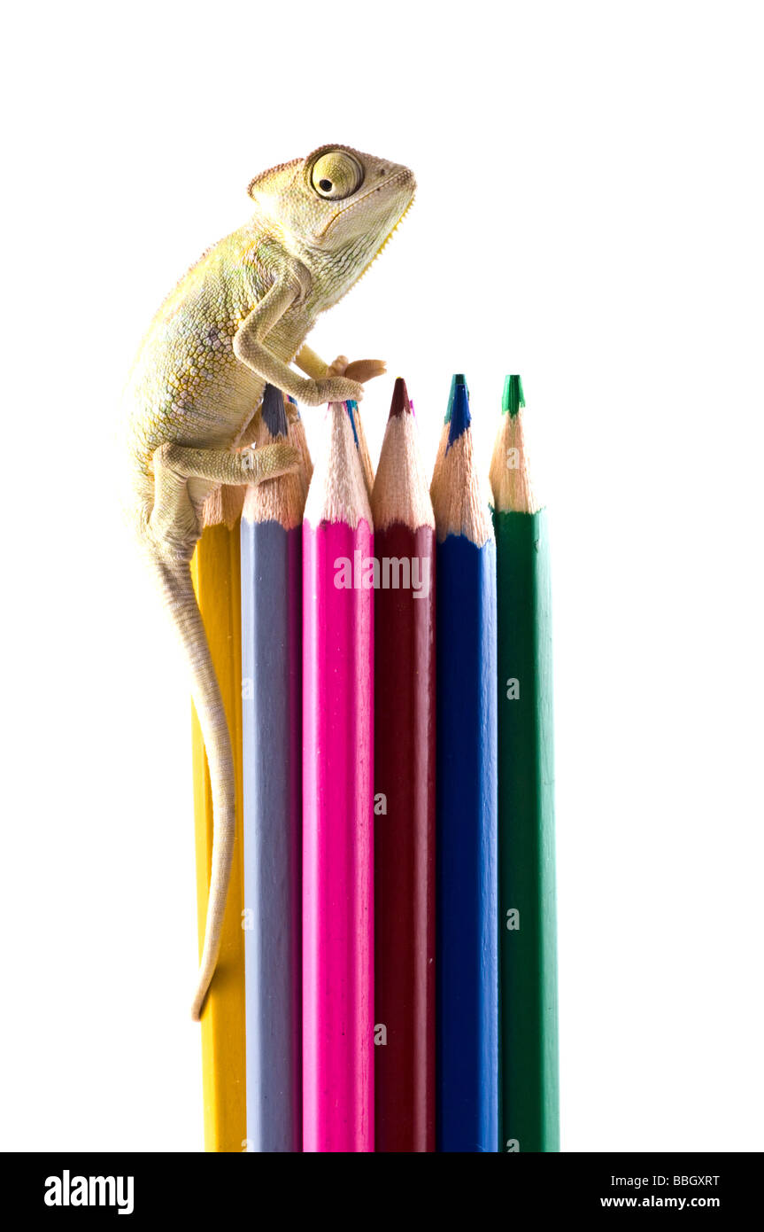 Madagascar marker hi-res stock photography and images - Alamy