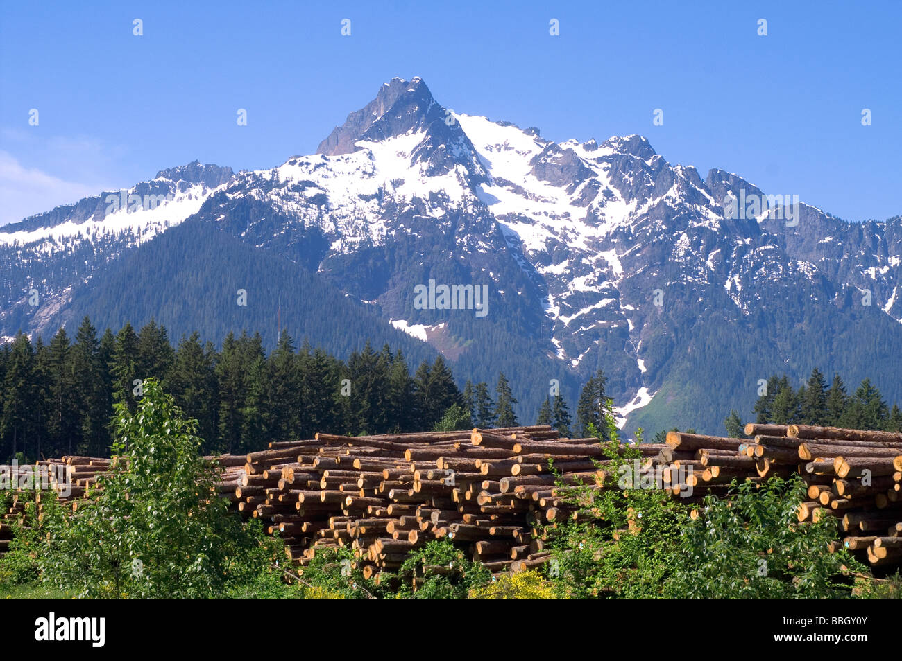 Whitehorse Mountain and logging area Stock Photo - Alamy