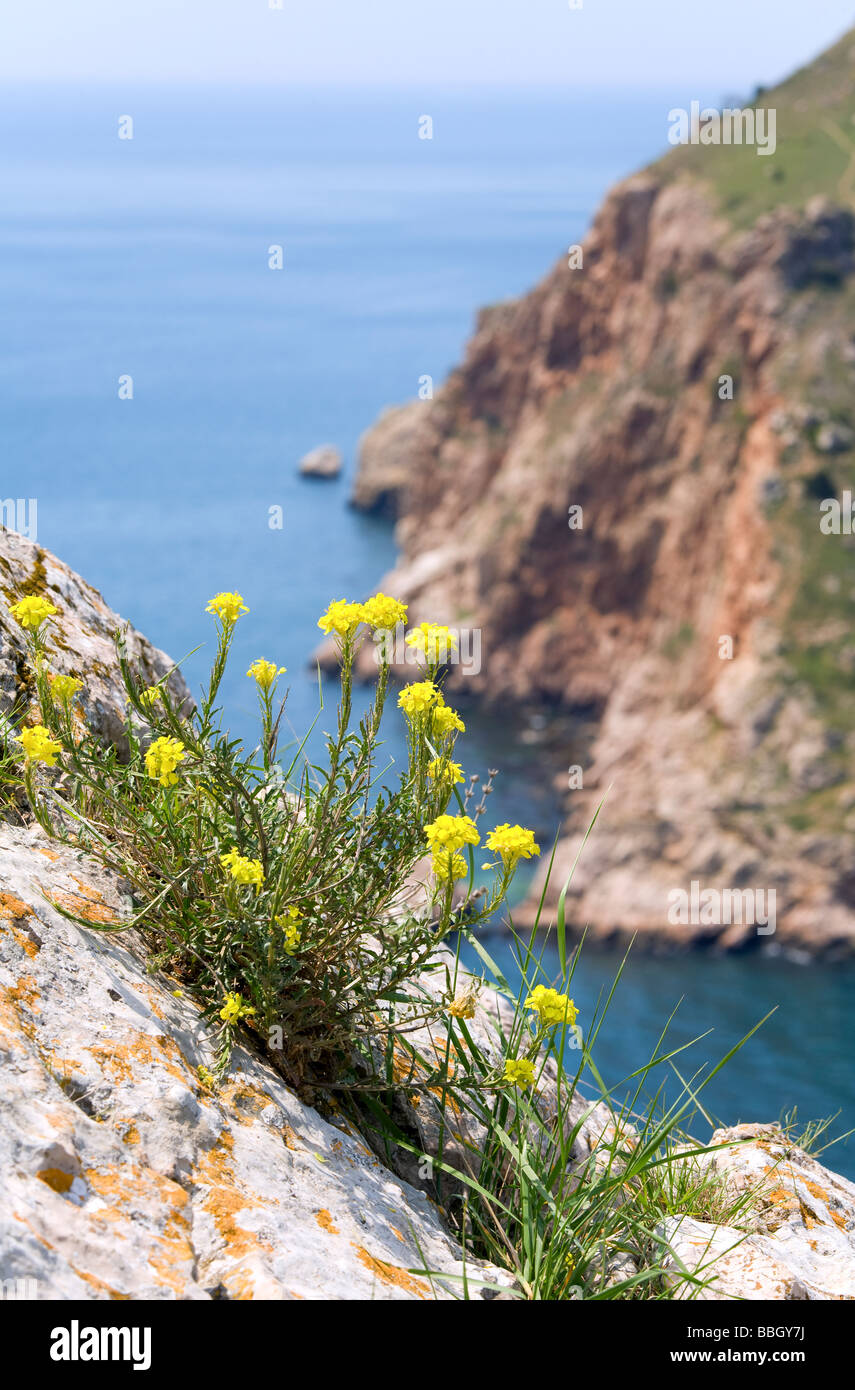 Summer coast view balaclava bay entrance hi-res stock photography and ...