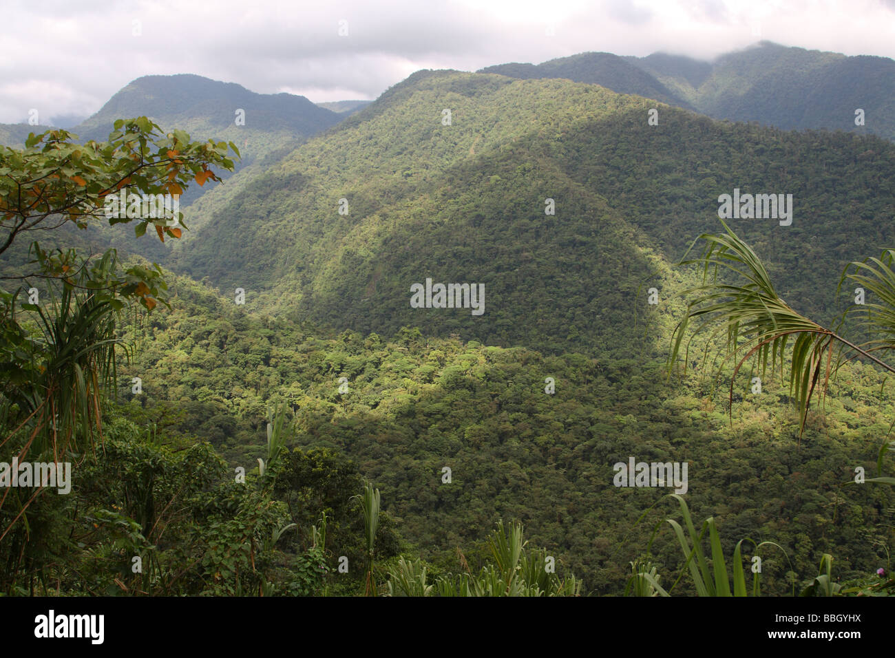 Carillo hi-res stock photography and images - Alamy