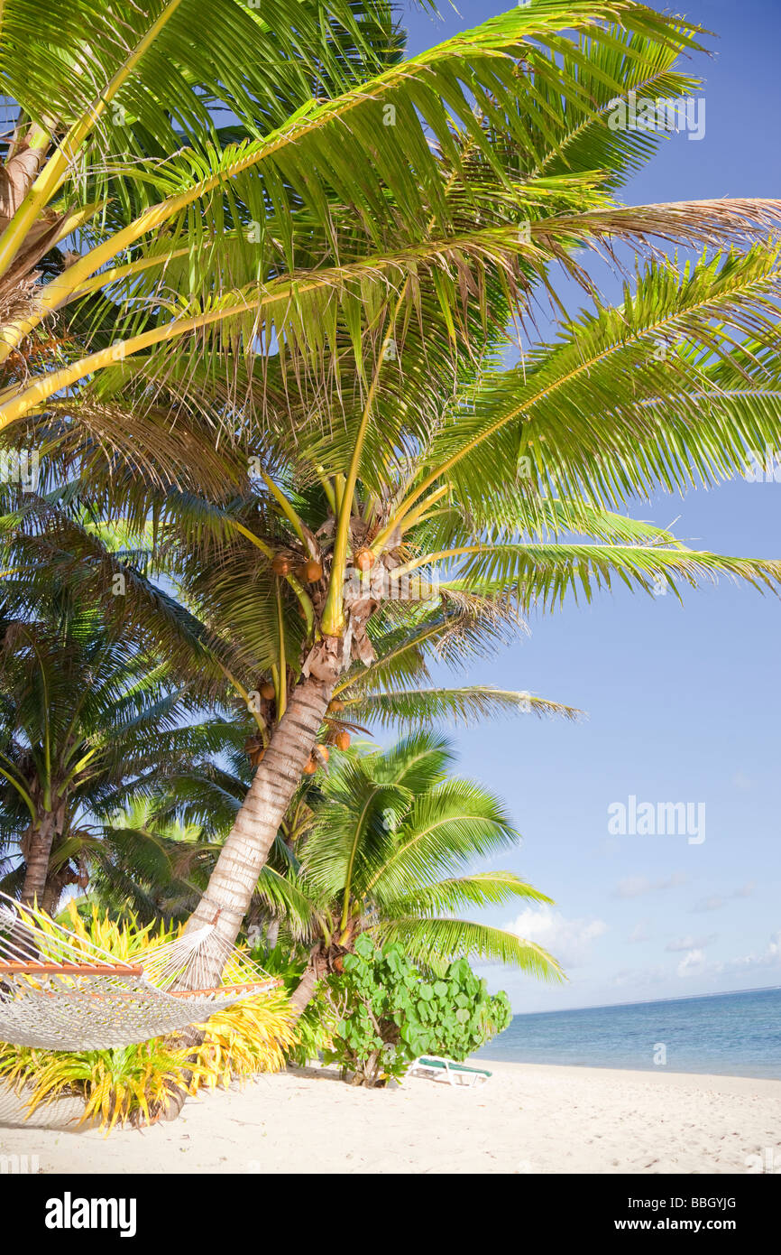 Tropical Beach with Hammock and Coco Palms Rarotonga Cook Islands ...