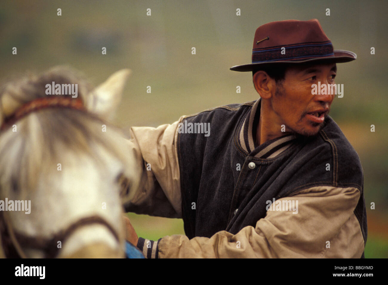 Man with horse Stock Photo - Alamy