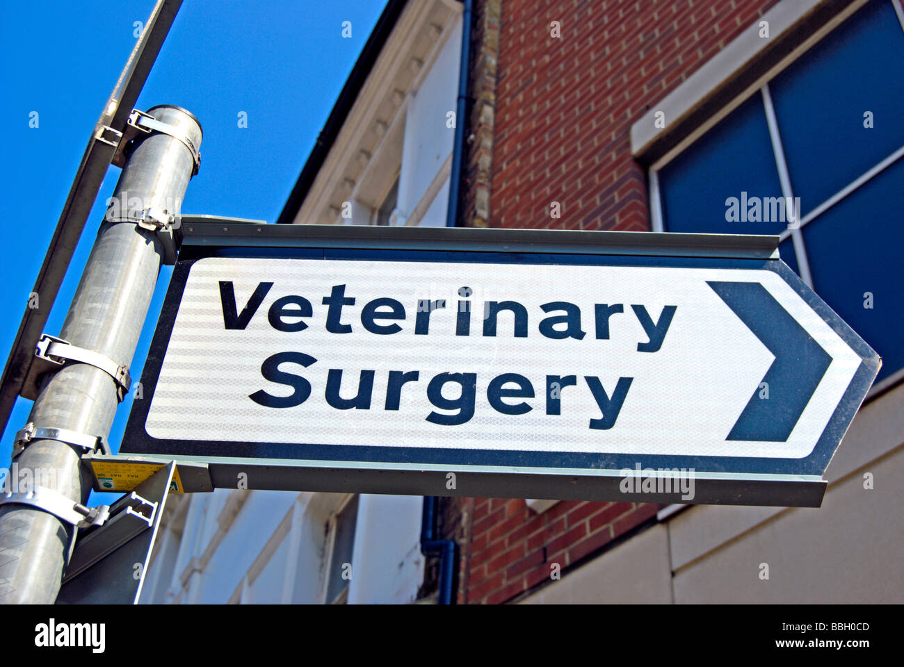 british street sign with right pointing arrow for veterinary surgery ...