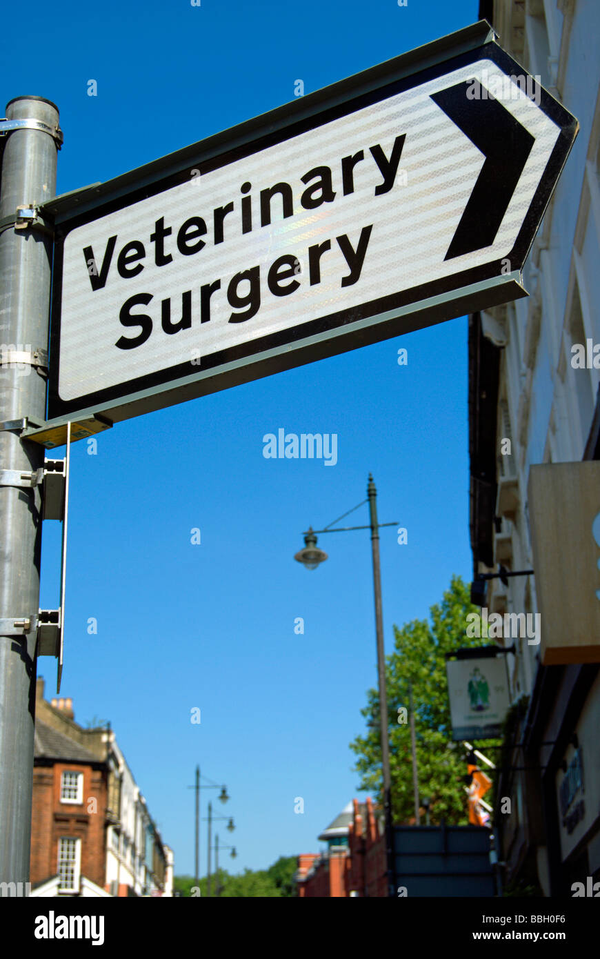 Veterinary sign hi-res stock photography and images - Alamy