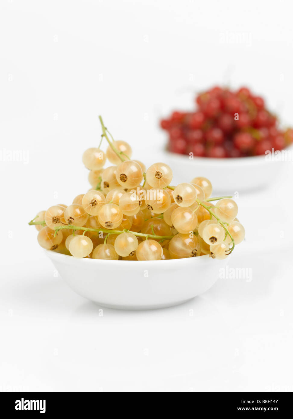 Red and white currants isolated on white background Stock Photo - Alamy