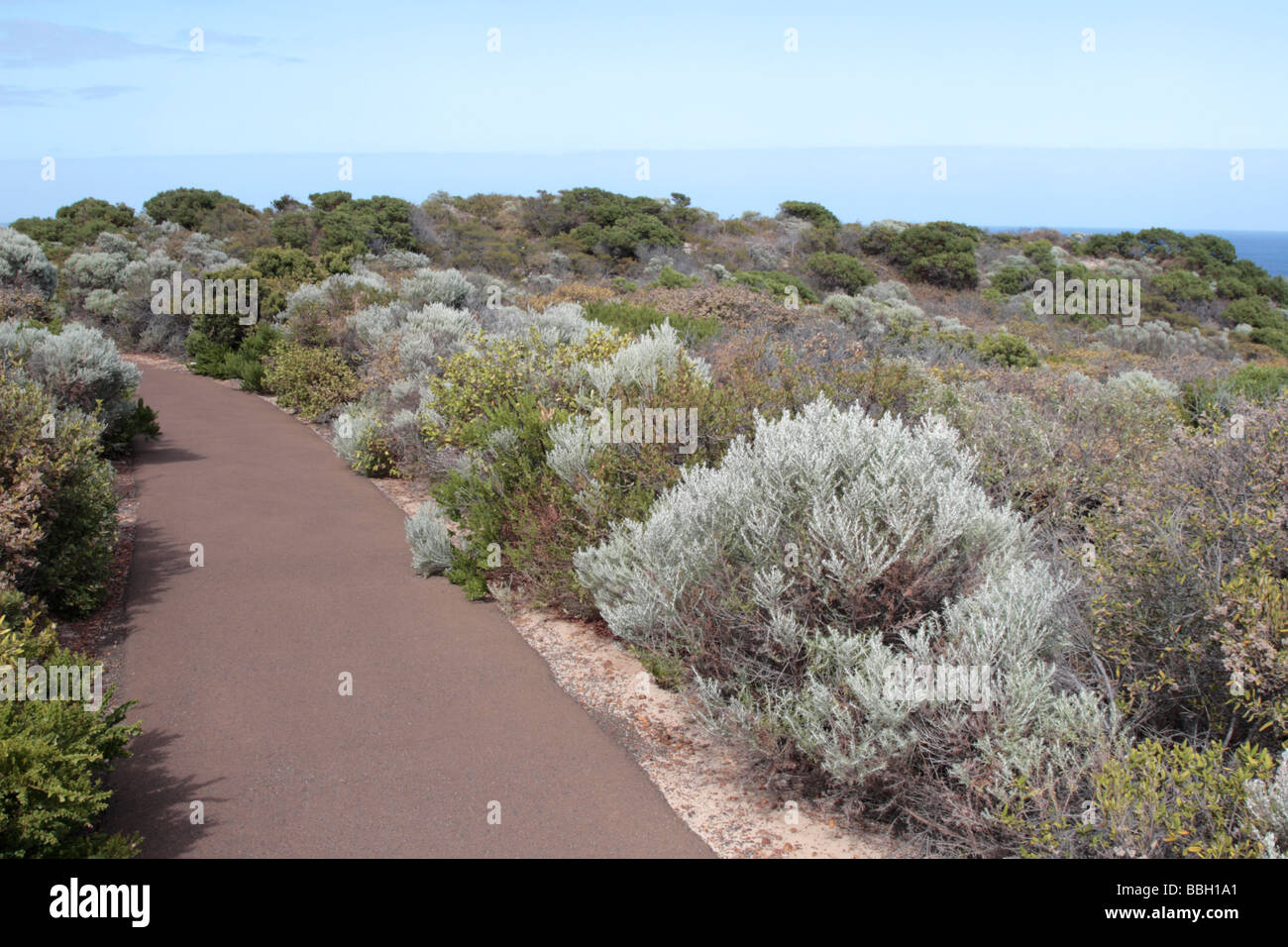 Trail through the bush at Cape Naturaliste on Geographe bay Western ...