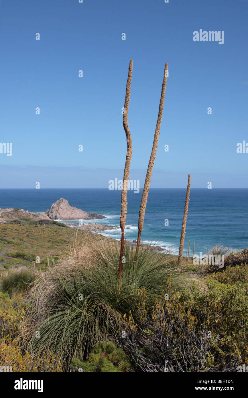 Trail through the bush at Cape Naturaliste on Geographe bay towards ...