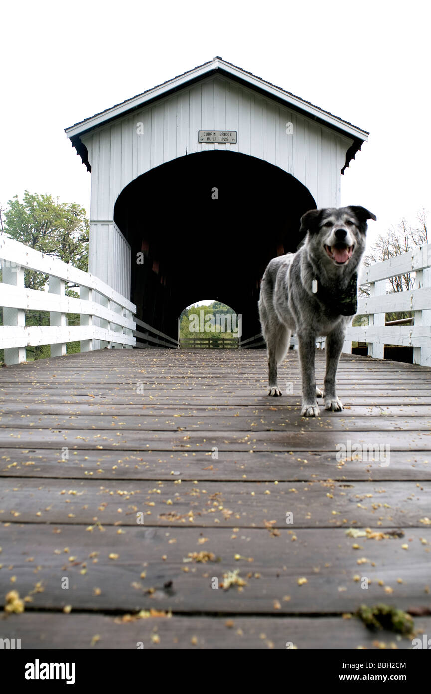 Grave Creek Covered Bridge Josephine County Oregon Sun Valley Stock ...