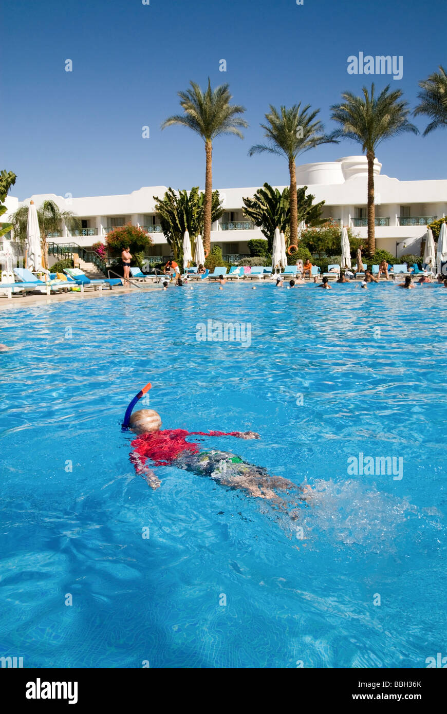 young boy diving in a swimmingpool Stock Photo - Alamy