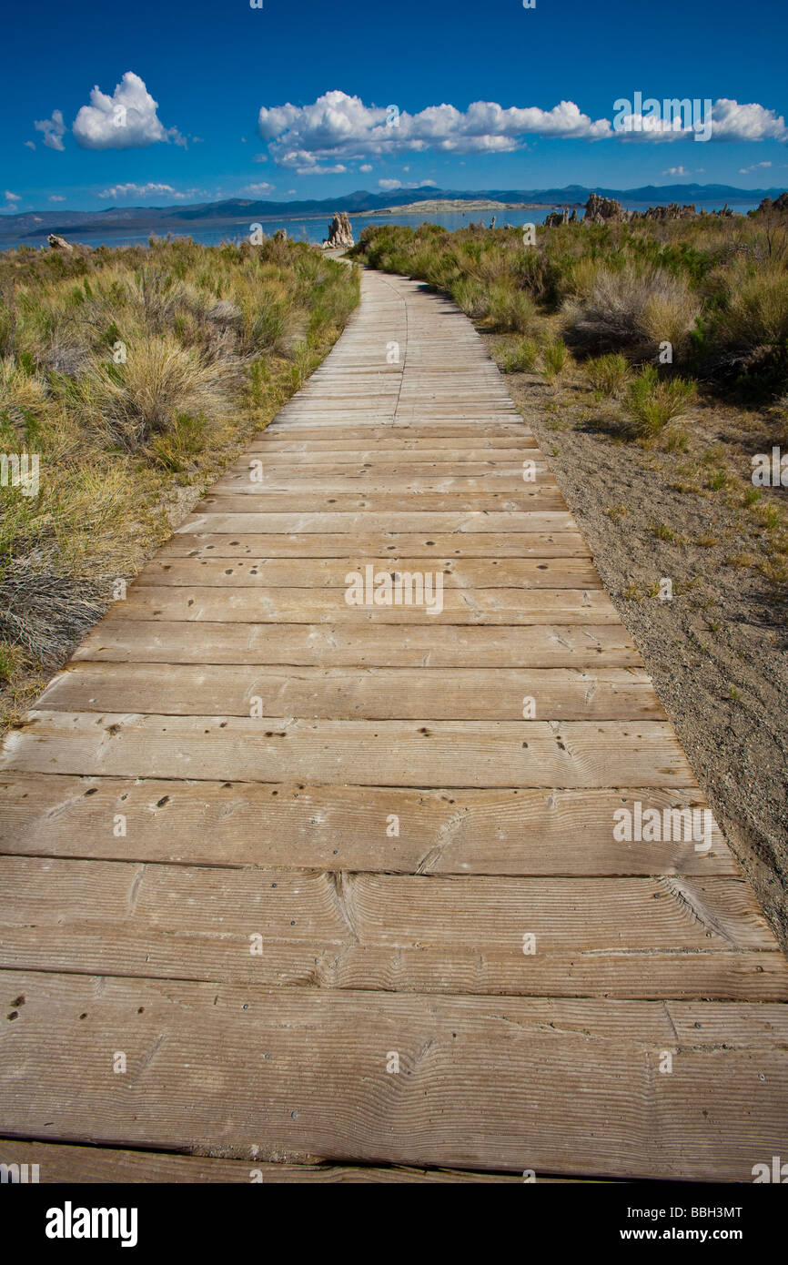 Plank Walkway High Resolution Stock Photography and Images - Alamy