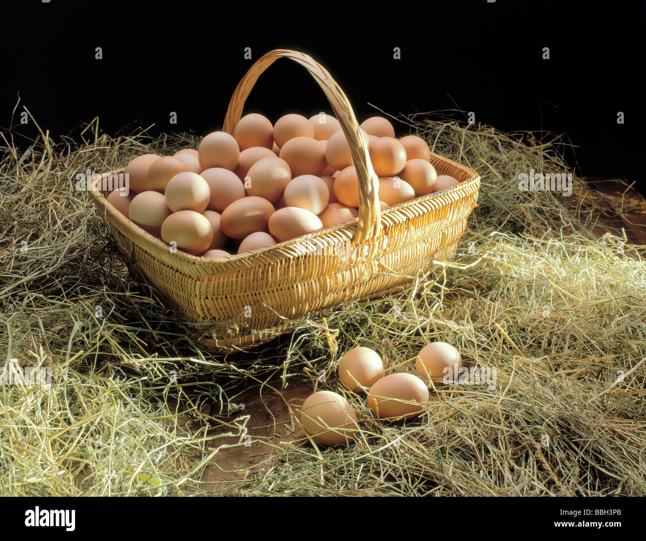 Farming extras hi-res stock photography and images - Alamy