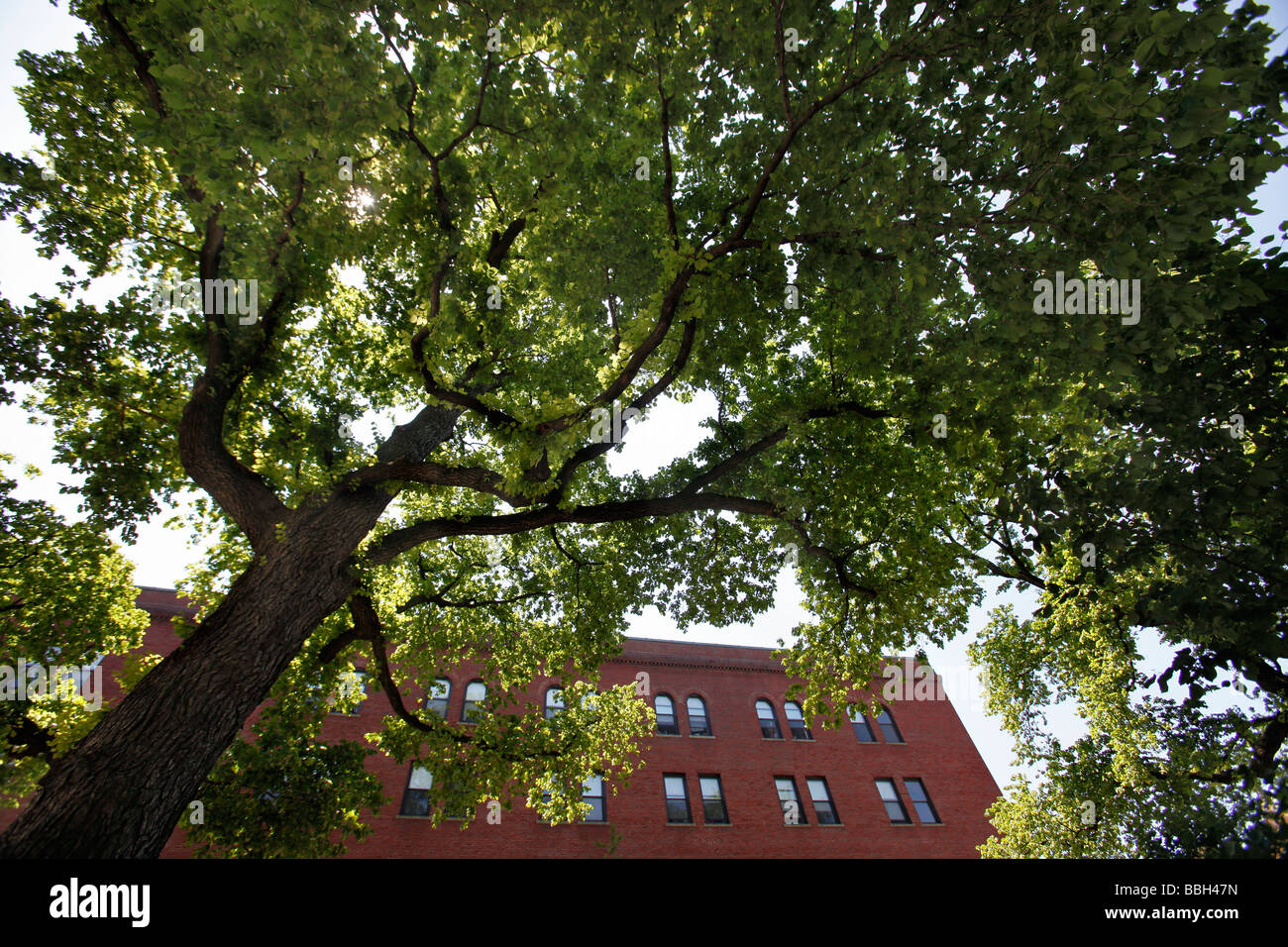 South end boston hi-res stock photography and images - Alamy