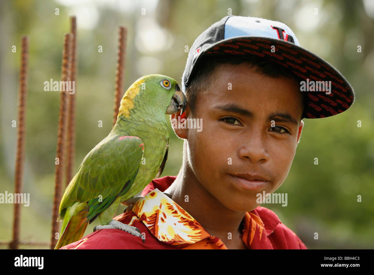Parrot on shoulder store