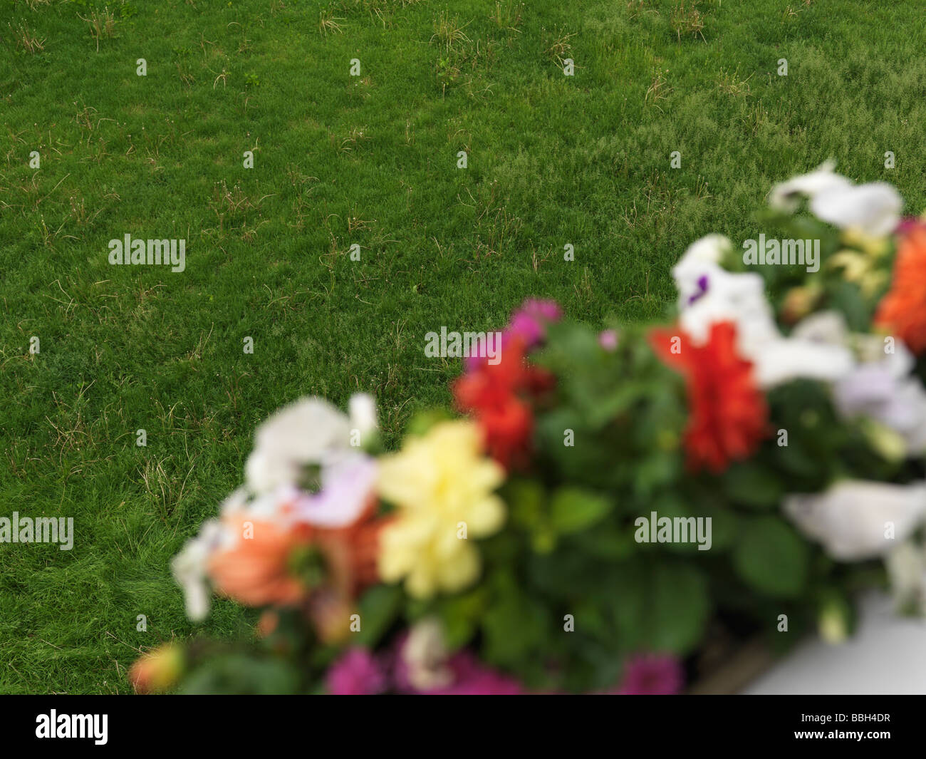 Potted flower pot hi-res stock photography and images - Alamy