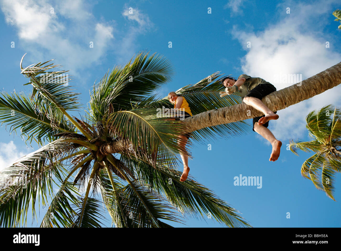 Men climbing tree hi-res stock photography and images - Alamy