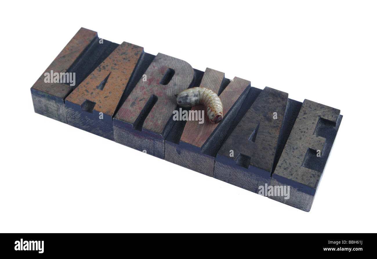 Animal word hi-res stock photography and images - Alamy