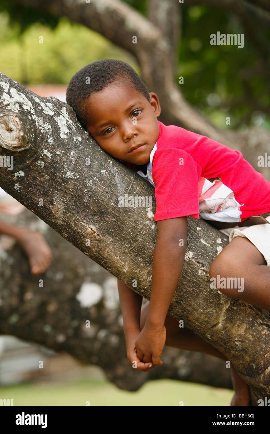 Boy Lying On Tree Branch High Resolution Stock Photography and Images ...