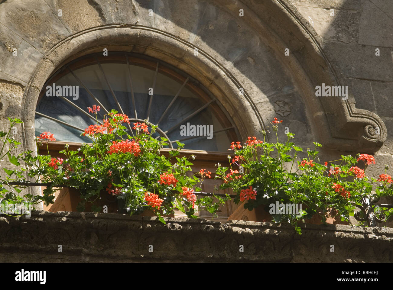 Zonali hi-res stock photography and images - Alamy