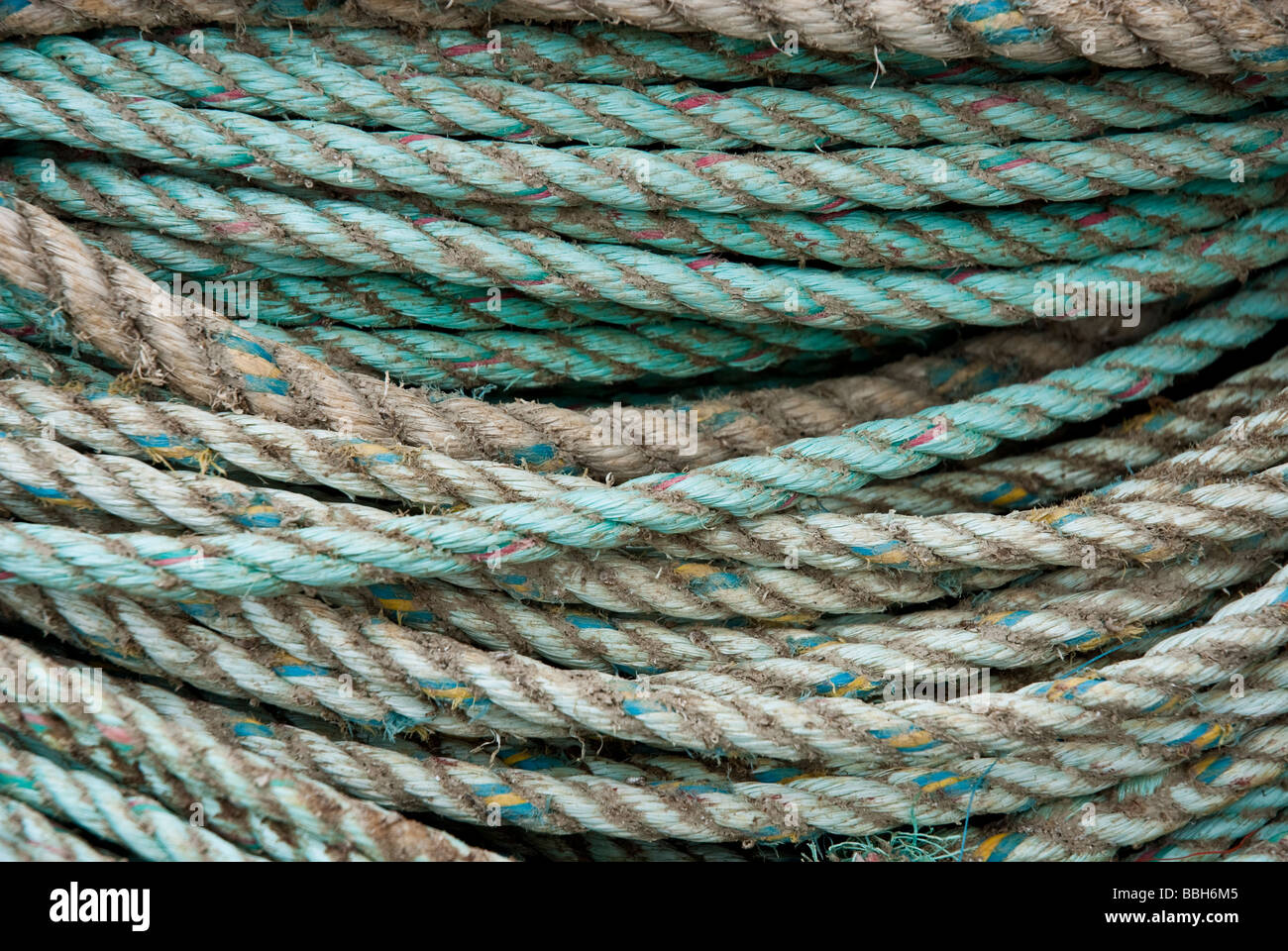 Old Rope Coil