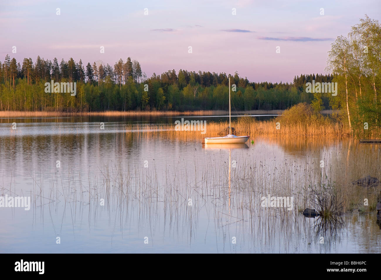 Landscape Lakeland Karelia Finland Stock Photo - Alamy