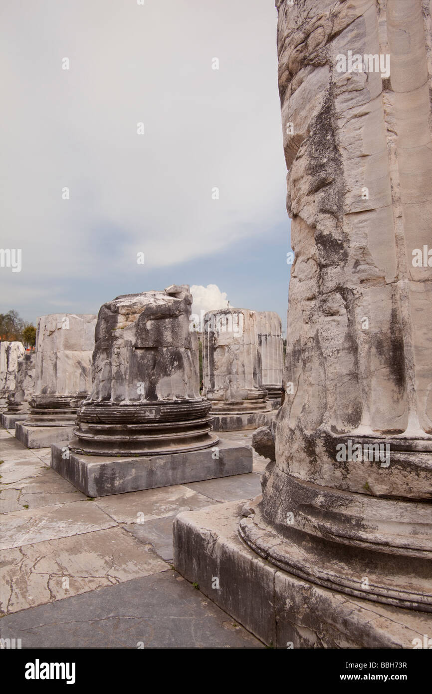 Ancient columns at the ruins of Didyma at the Temple of Apollo in ...