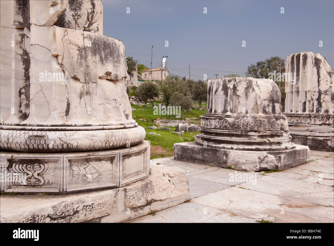 Ancient columns at the ruins of Didyma at the Temple of Apollo in ...