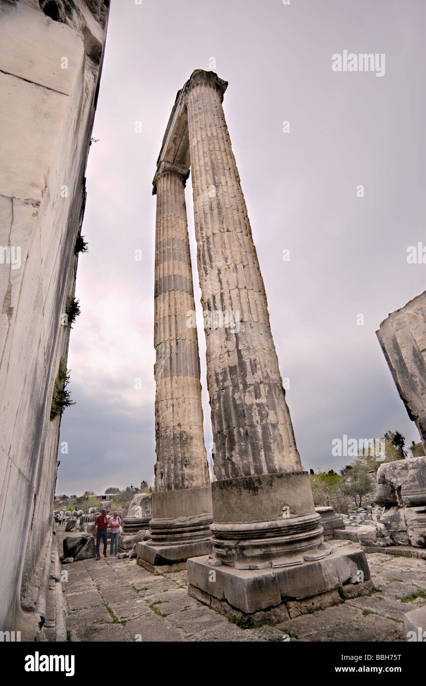 Tall columns at the ancient runs of the Temple of Apollo at Didyma ...