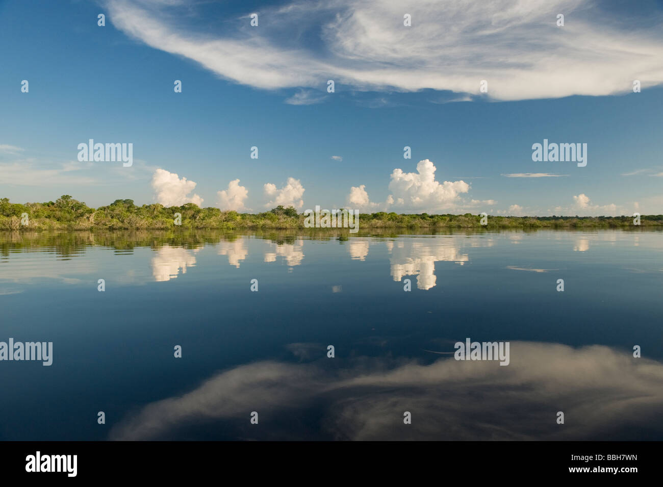 Rio Negro reflection, Amazon region near Manaus, Brazil Stock Photo - Alamy