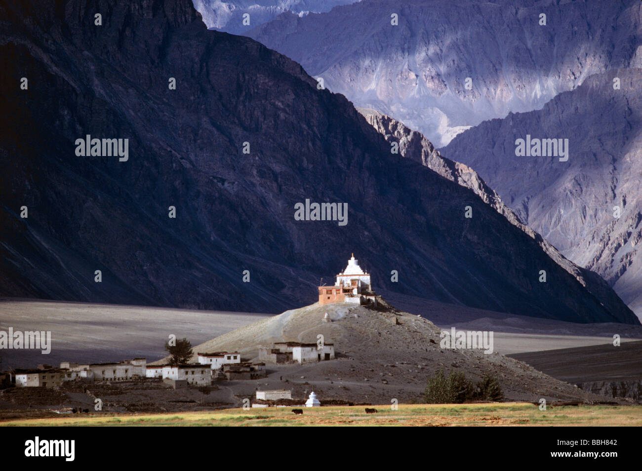 Padum zanskar valley zanskar ladakh hi-res stock photography and images ...
