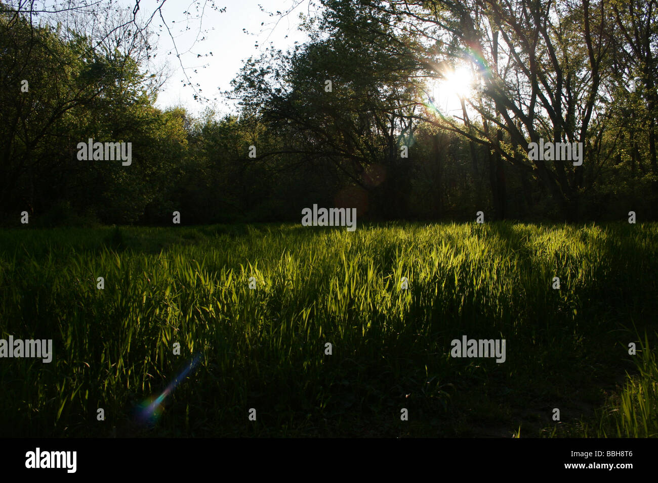 Richmond green spring hi-res stock photography and images - Alamy
