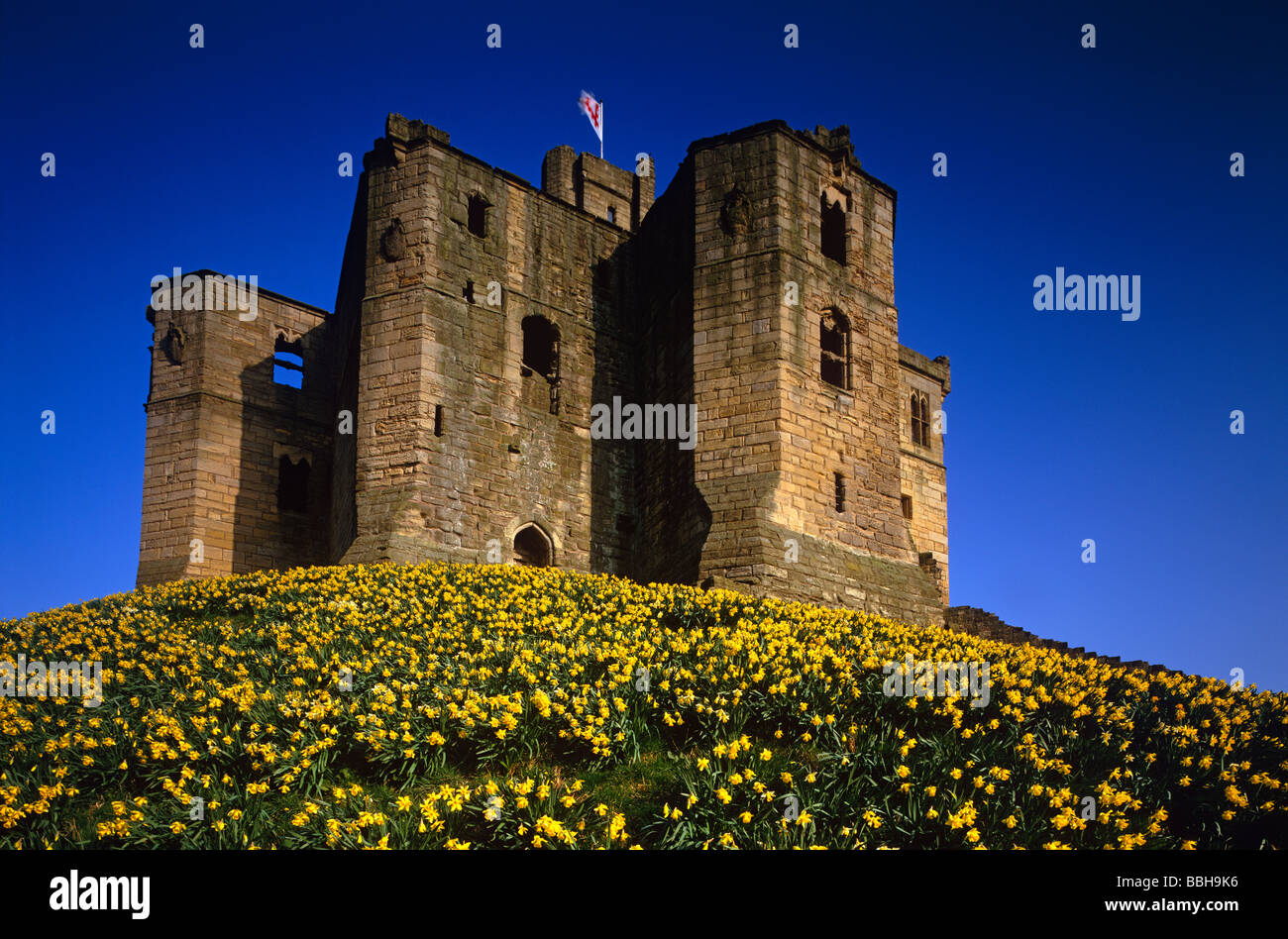 Duke of northumbrland hi-res stock photography and images - Alamy