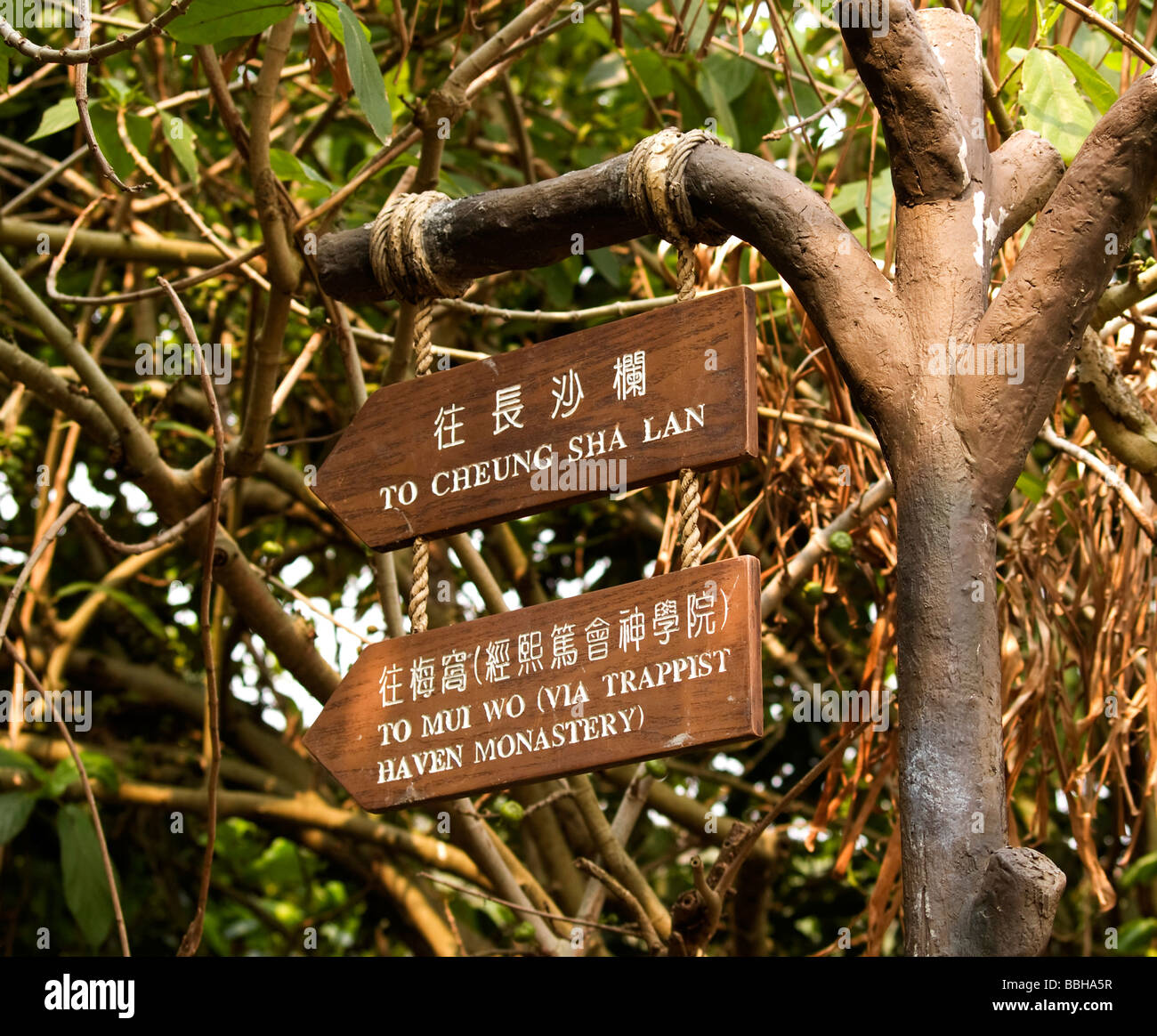 Street signs Hong Kong Stock Photo - Alamy