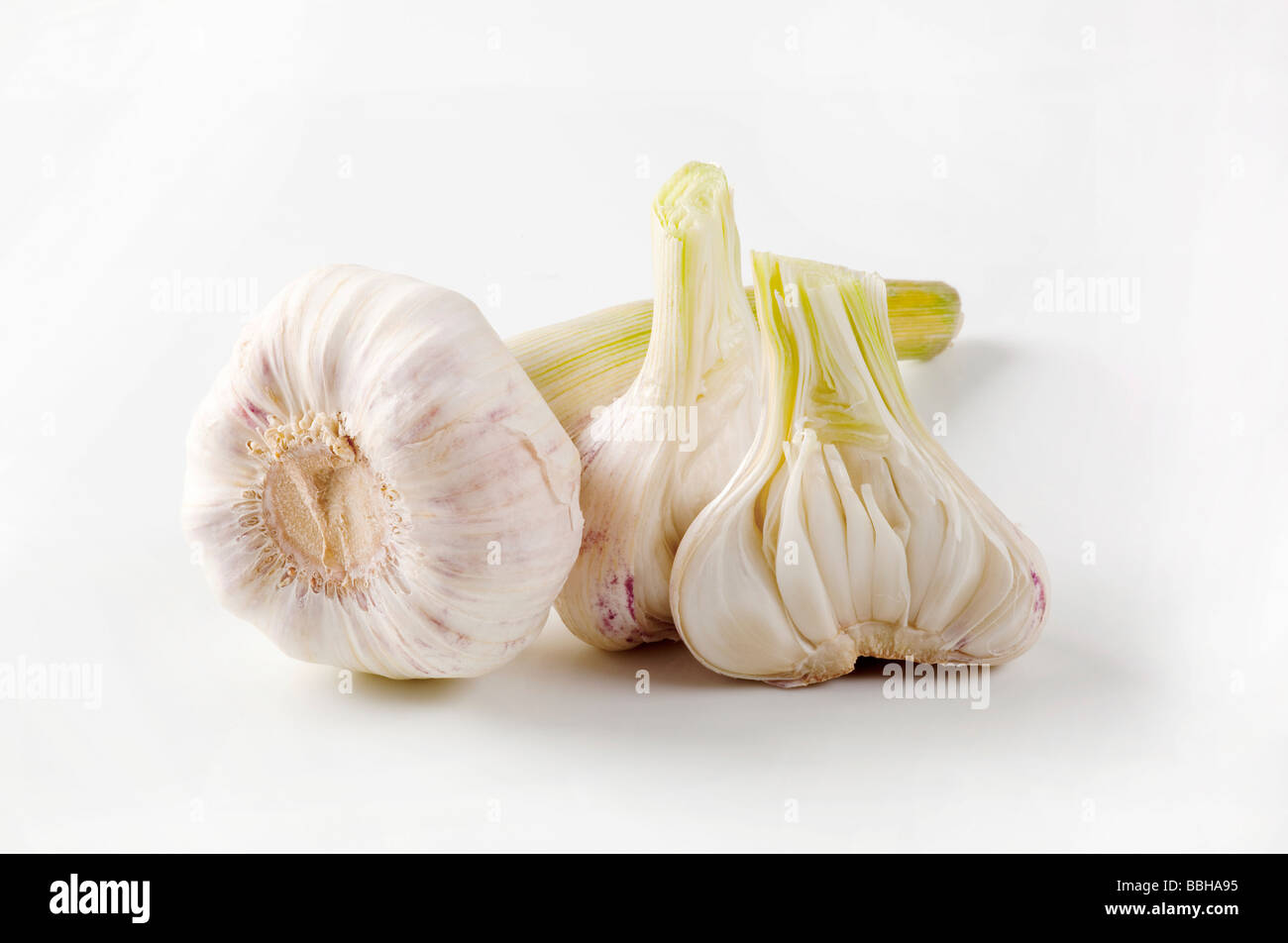 Garlic cross section Cut Out Stock Images & Pictures - Alamy
