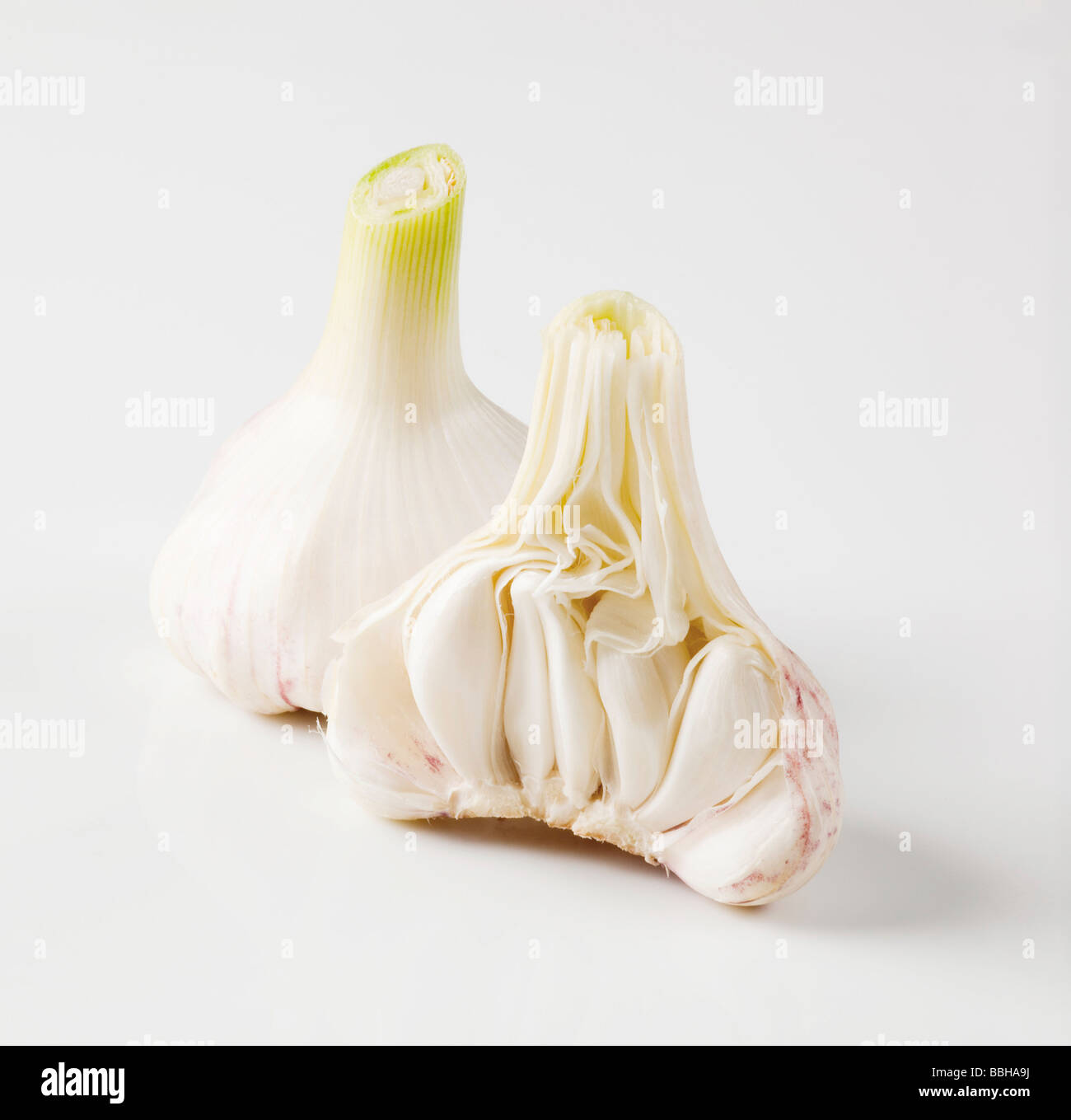 Garlic cross section hi-res stock photography and images - Alamy