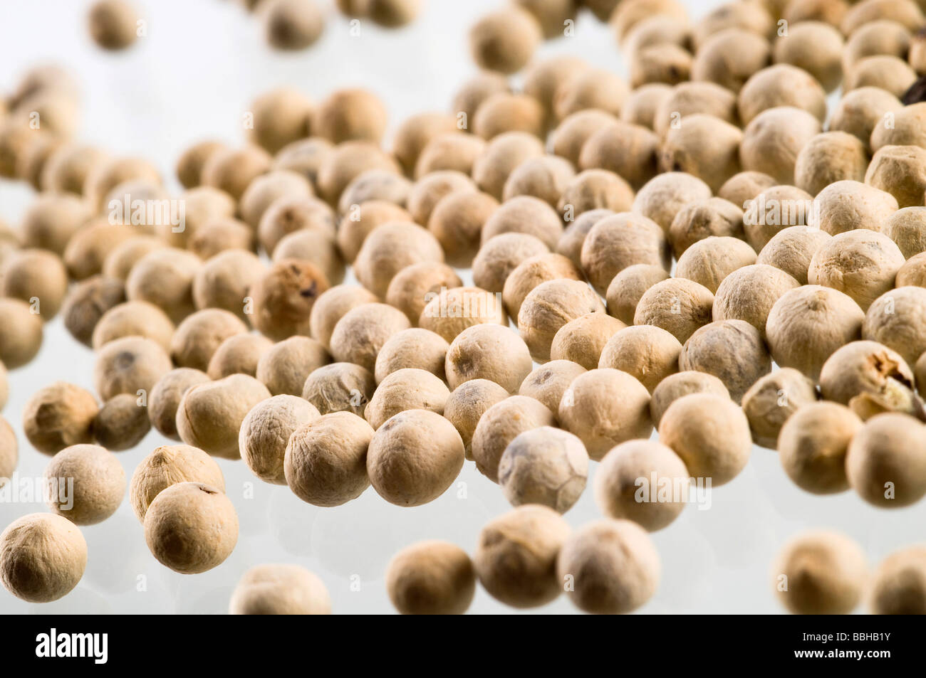 Peppercorns white hi-res stock photography and images - Alamy
