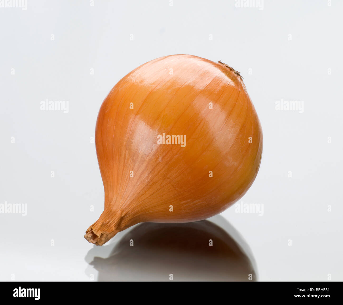Reflection of onion hi-res stock photography and images - Alamy