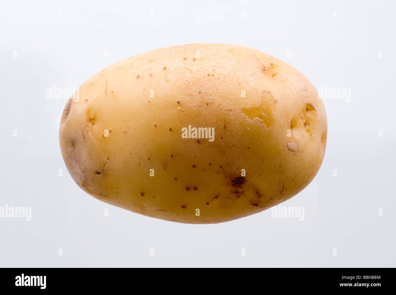 Single potato hi-res stock photography and images - Alamy